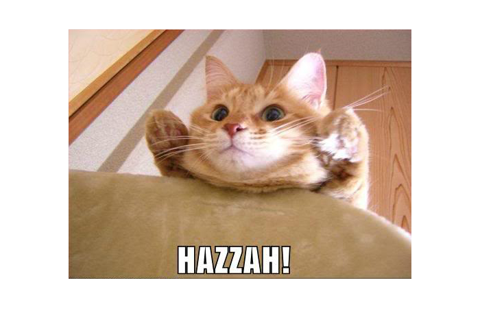 Lady Wac x Cave Completed Version : r/gamindustri